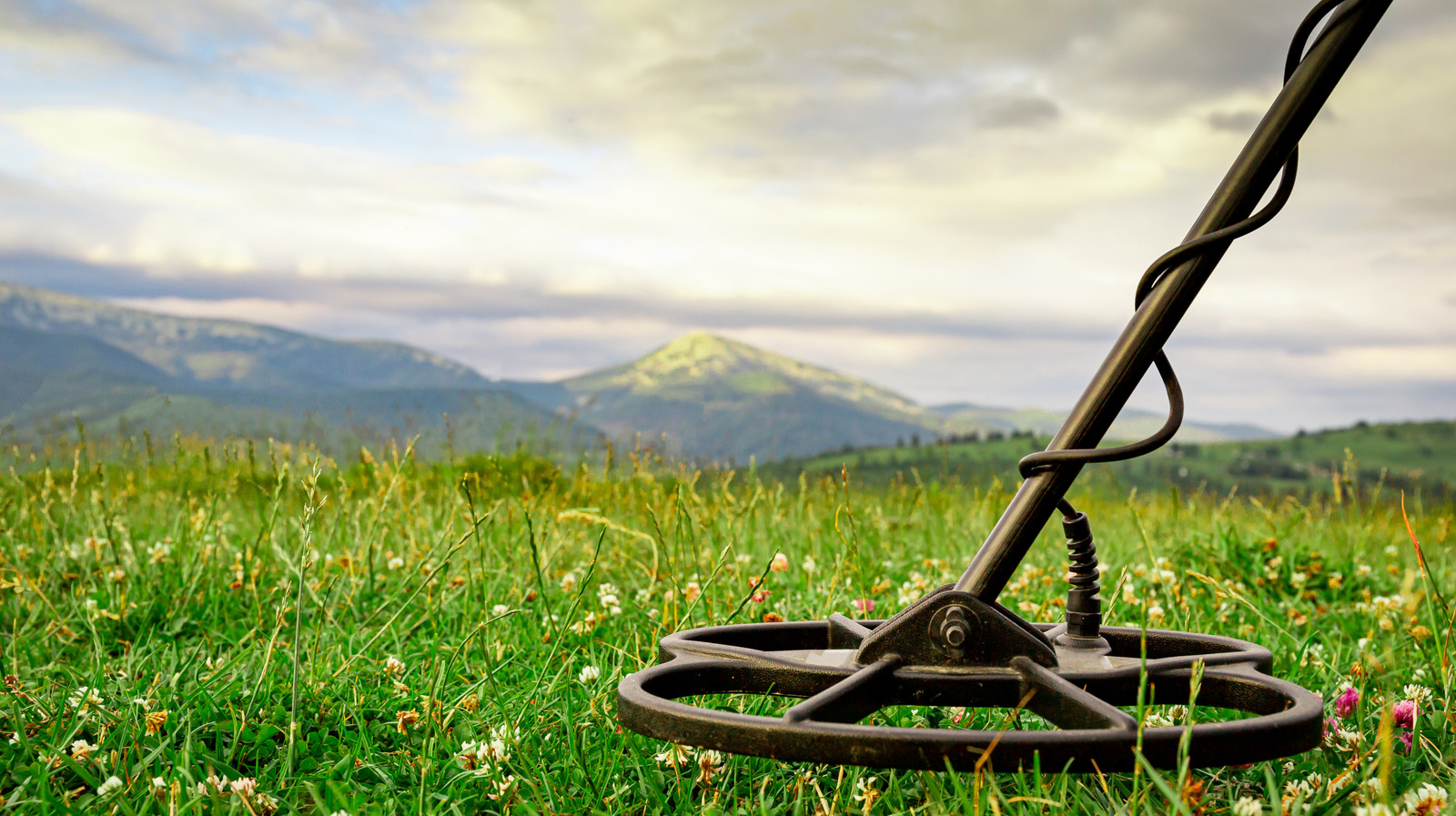 Uncover Hidden Treasures: A Guide to Metal Detecting