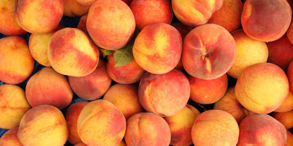 Fresh Peaches Recalled Nationwide Due to Listeria Risk