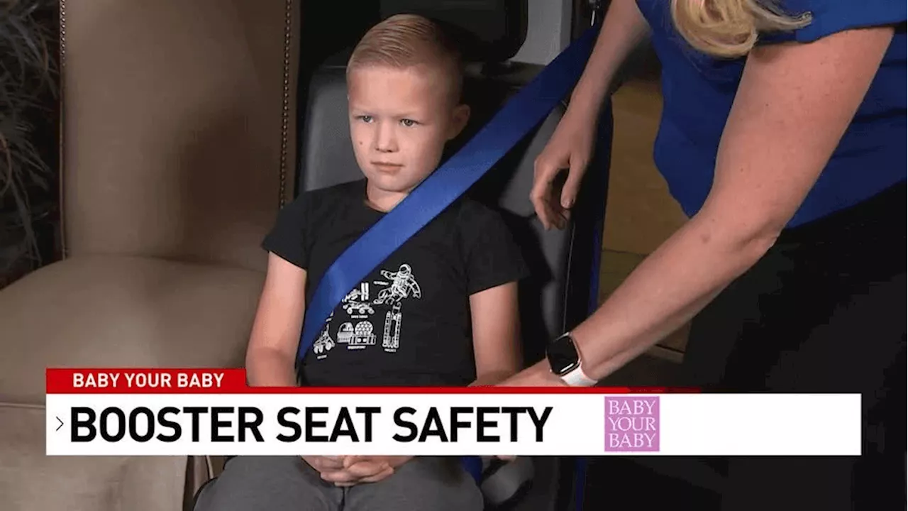 Pokémon Card Lot Offers Five Times More Value Than Retail Packs